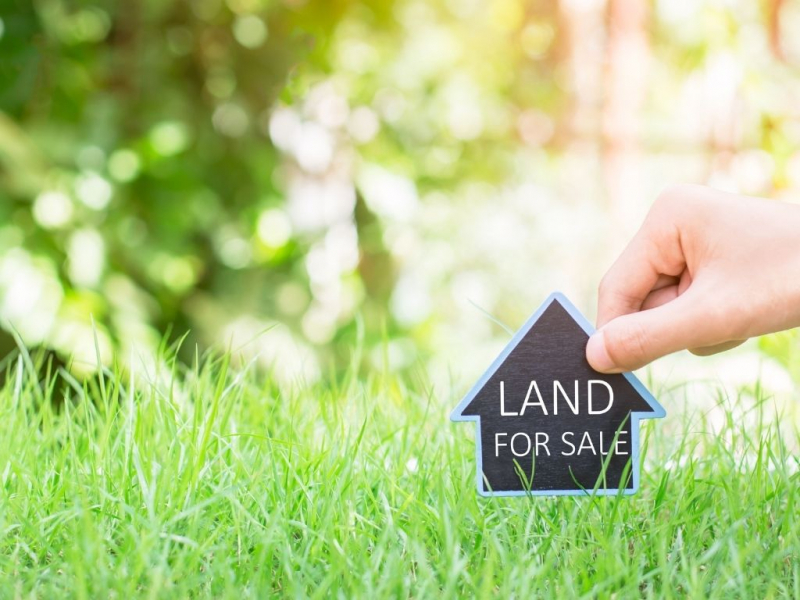 What to Look For When Buying Land in Florida?